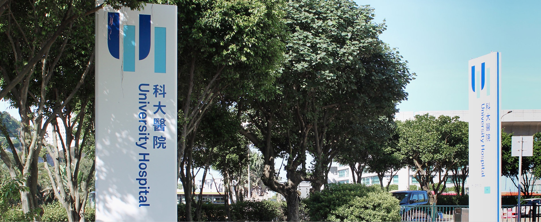 The University Hospital